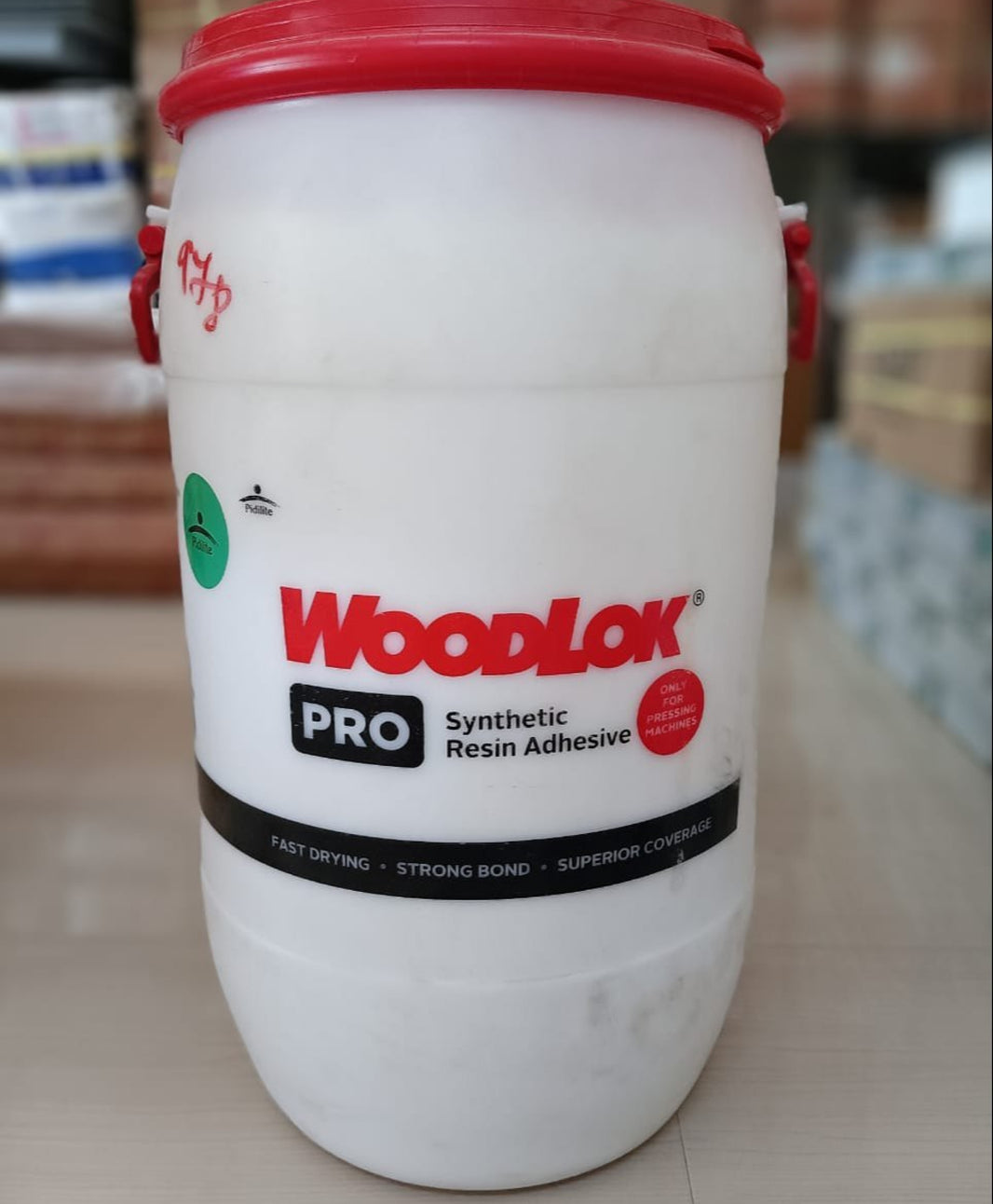 Buy Pidilite Fevicol Adhesives and Wood Solutions – KYZO